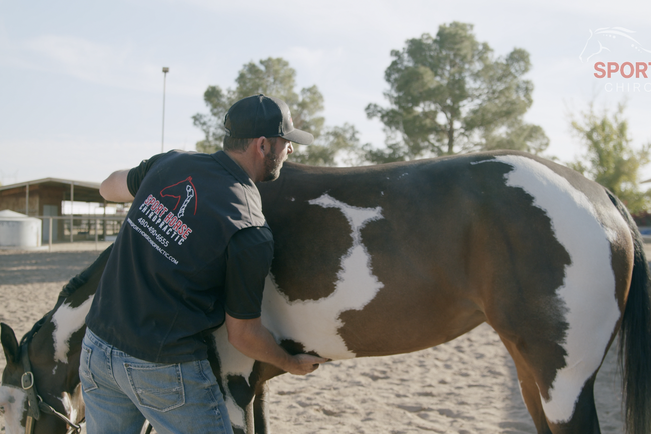 Stretching Exercises for Horses - Stretching Exercises for Horses | Dr ...
